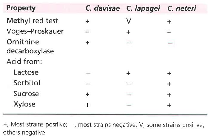 ویژگی بیوشیمیایی گونه های Cedecea - آزمایشگاه مجازی میکروب شناسی