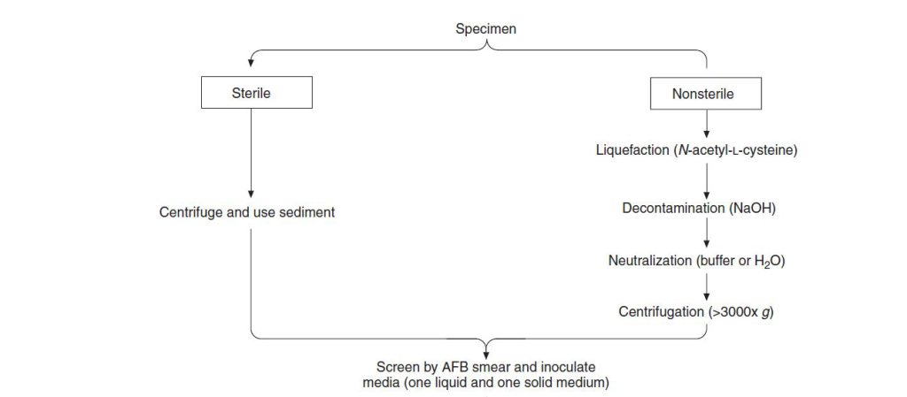 فلوچارت خلاصه روش آلودگی زدایی با NALC-NaOH و تغلیط نمونه برای تعیین ...