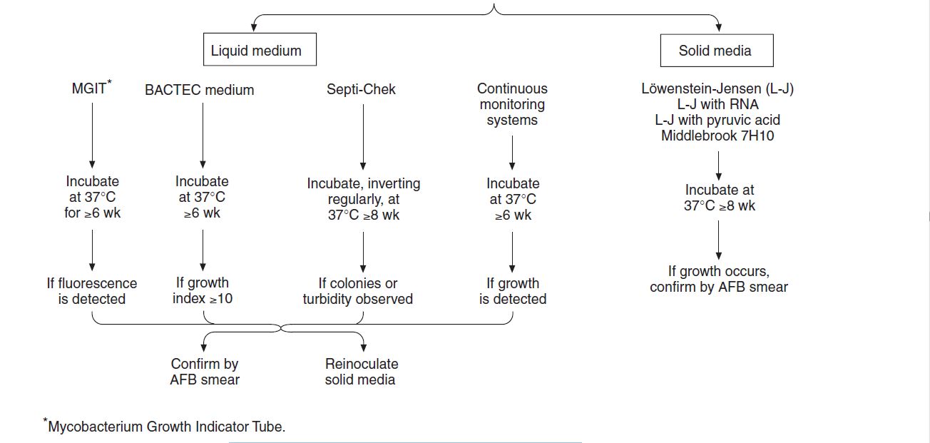 فلوچارت خلاصه روش آلودگی زدایی با NALC-NaOH و تغلیط نمونه برای تعیین ...