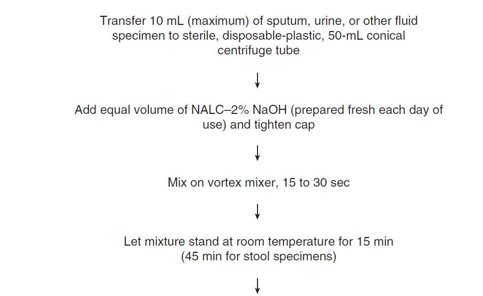 فلوچارت خلاصه روش آلودگی زدایی با NALC-NaOH و تغلیط نمونه برای تعیین مایکوباکتریاها برای کشت و ...