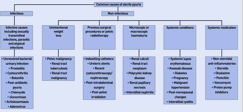 عوامل مسبب در پیوریای استریل (sterile pyuria) یا آسپتیک پیوریا (aseptic ...