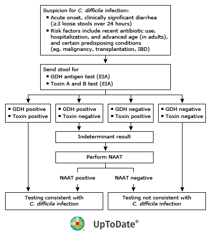 یک رویکرد آزمایشگاهی برای تشخیص کلستریدیوئیدس دیفیسیل (Clostridioides ...