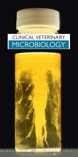 محیط تیوگلیکولات (thioglycollate medium یا THIO) - آزمایشگاه مجازی ...