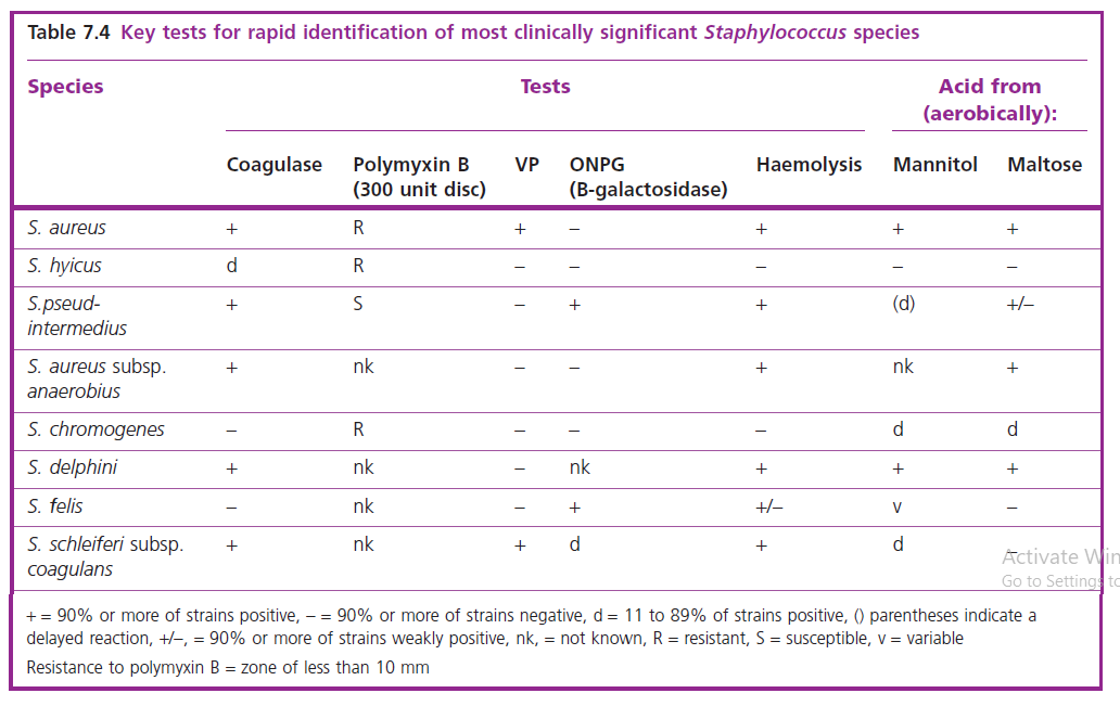 واکنش‌های بیوشیمیایی استافیلوکوک‌های جدا شده از حیوانات - آزمایشگاه ...