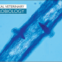 اطلس ها و تصاویر - آزمایشگاه مجازی میکروب شناسی