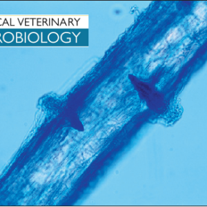 نحوه انجام تست سوراخ کردن مو یا Hair perforation test - آزمایشگاه مجازی ...