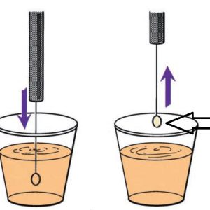 نحوه صحیح برداشتن نمونه ادرار از درون ظرف - آزمایشگاه مجازی میکروب شناسی