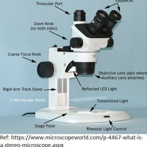 میکروسکوپ تشریح Dissecting microscope (Stereo or stereoscopic ...